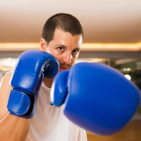 Boxing knockout Stock Photos, Royalty Free Boxing knockout Images ...