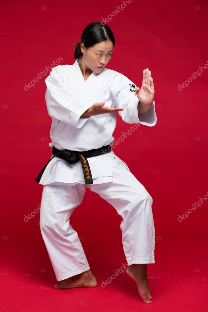 Japanese fighter Stock Photo by ©DragonImages 46251867