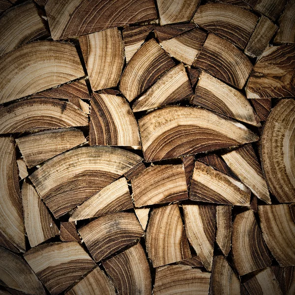 Cross section of wood Stock Photos, Royalty Free Cross section of wood ...