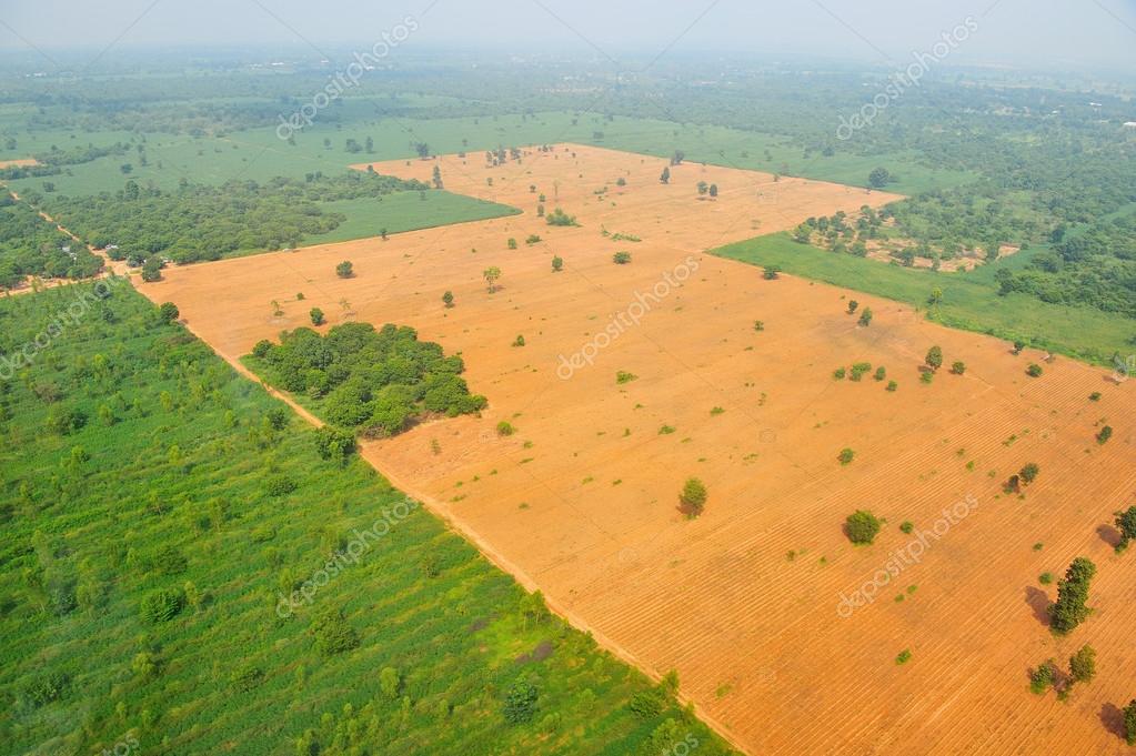 Bird eye view of rice field in Thailand — Stock Photo © kampee_p #25373945
