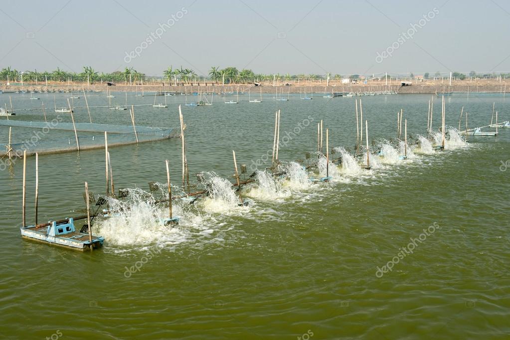 Shrimp Farm Stock Photo by ©kampee_p 25375797