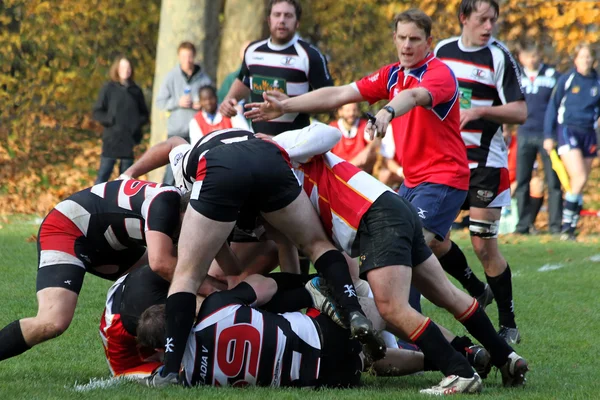 Coventry rugby head coach alex rae Stock Photos, Royalty Free Coventry ...
