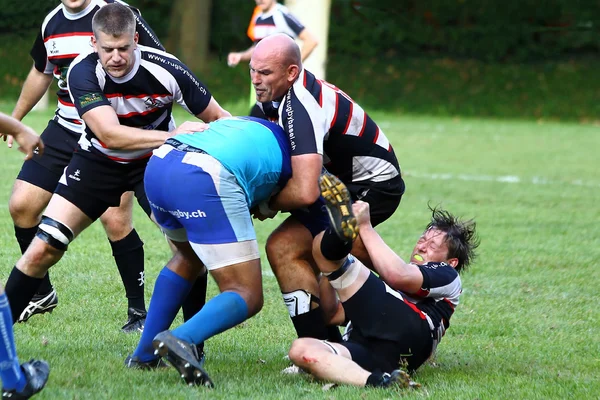 Shouting rugby player Stock Photos, Royalty Free Shouting rugby player ...