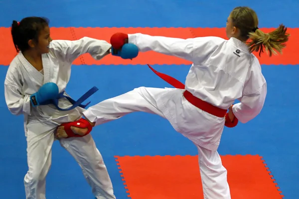 Karate Fighters Action Figures