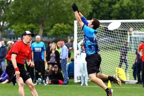 Ultimate frisbee Stock Photos, Royalty Free Ultimate frisbee Images ...