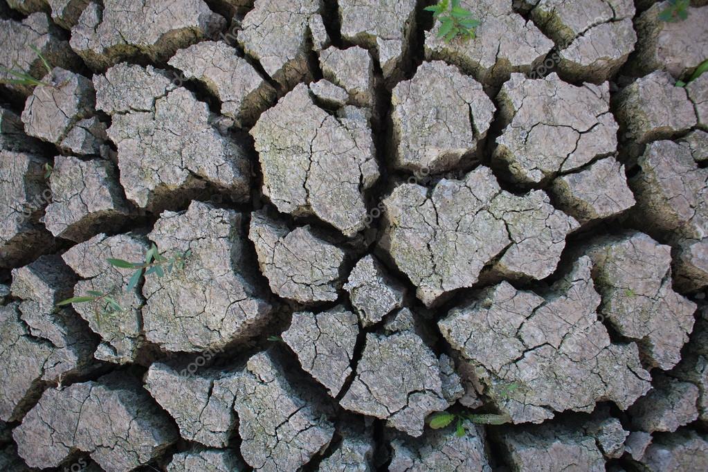 Cracked earth from drought — Stock Photo © StarkO #50876335
