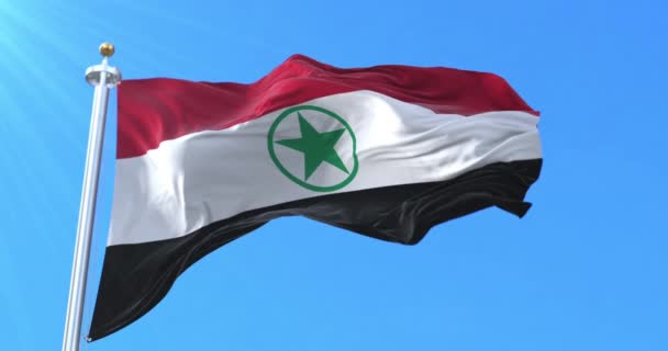 16 Arab liberation flag Videos, Royalty-free Stock Arab liberation flag ...