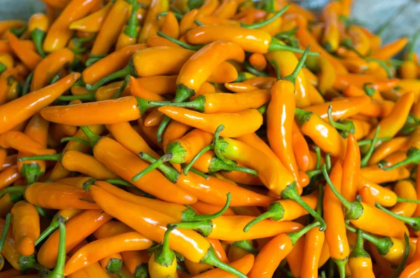 Orange Chili — Stock Photo © nuttakit #3190297