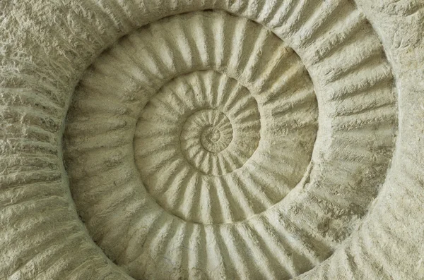 Templo da concha Stock Photos, Royalty Free Templo da concha Images ...