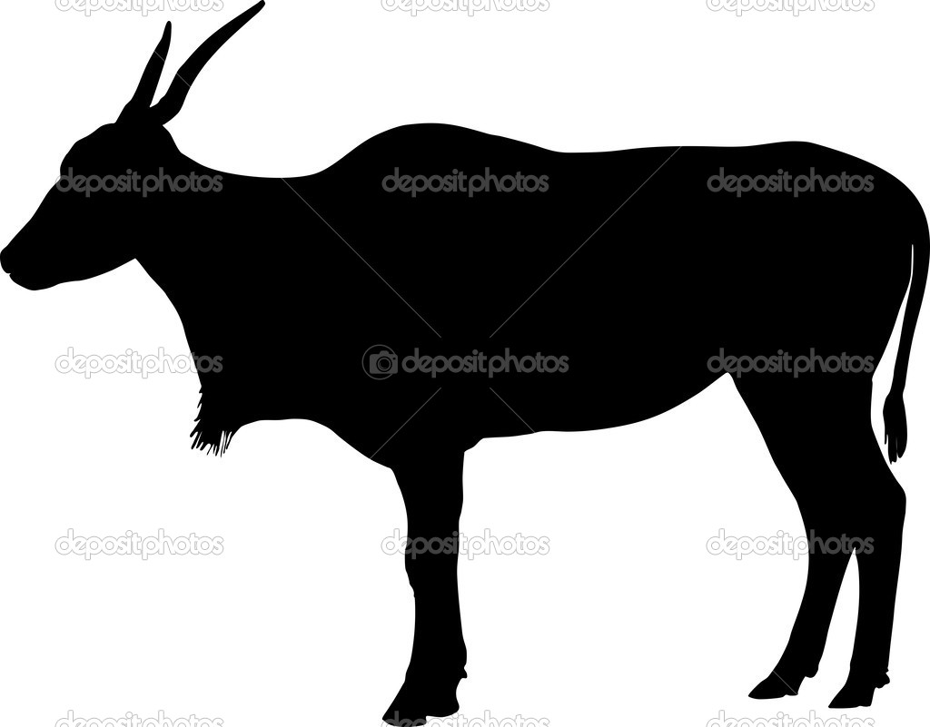 Silhouette of Common eland Stock Vector Image by ©kazakovmaksim #36495105