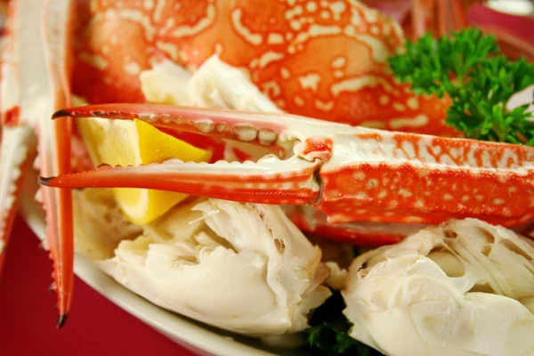 Crab cracked Stock Photos, Royalty Free Crab cracked Images | Depositphotos