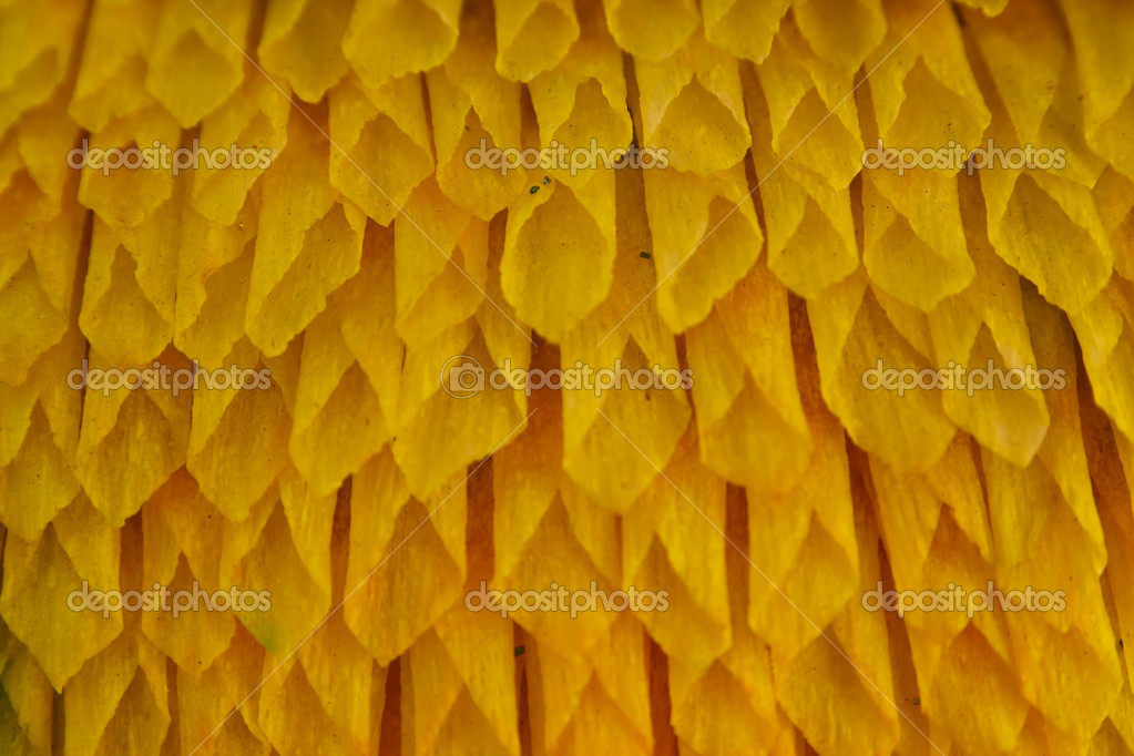 Mulberry paper texture background — Stock Photo © thailandonly #35523331