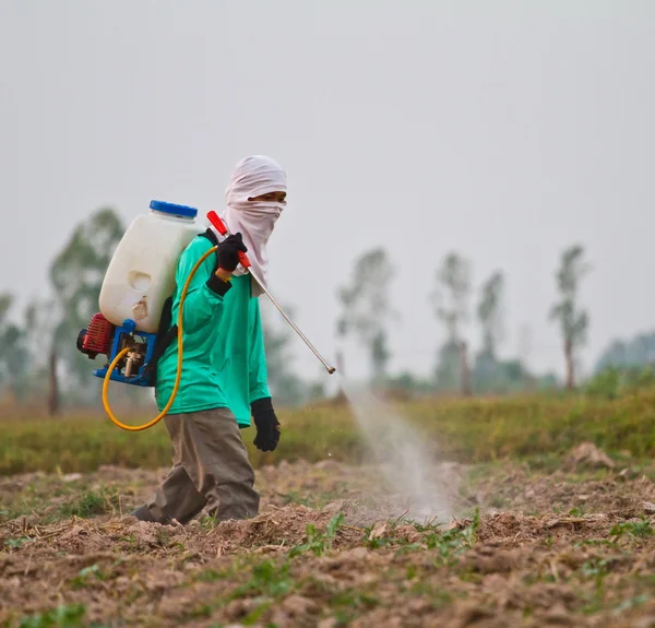Man spraying vegetables in the garden — Stock Photo © thailandonly ...