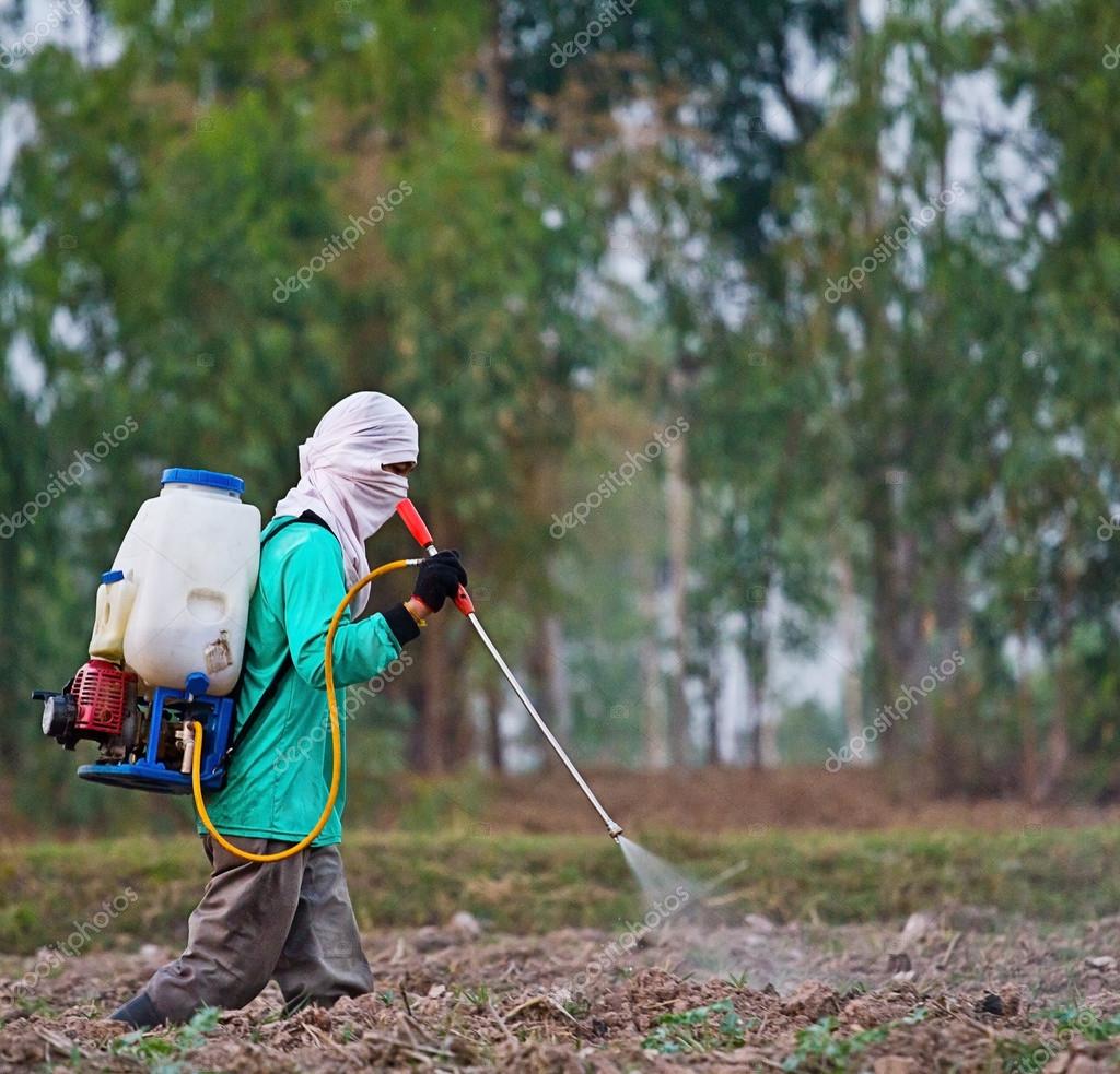 Man spraying vegetables in the garden — Stock Photo © thailandonly ...