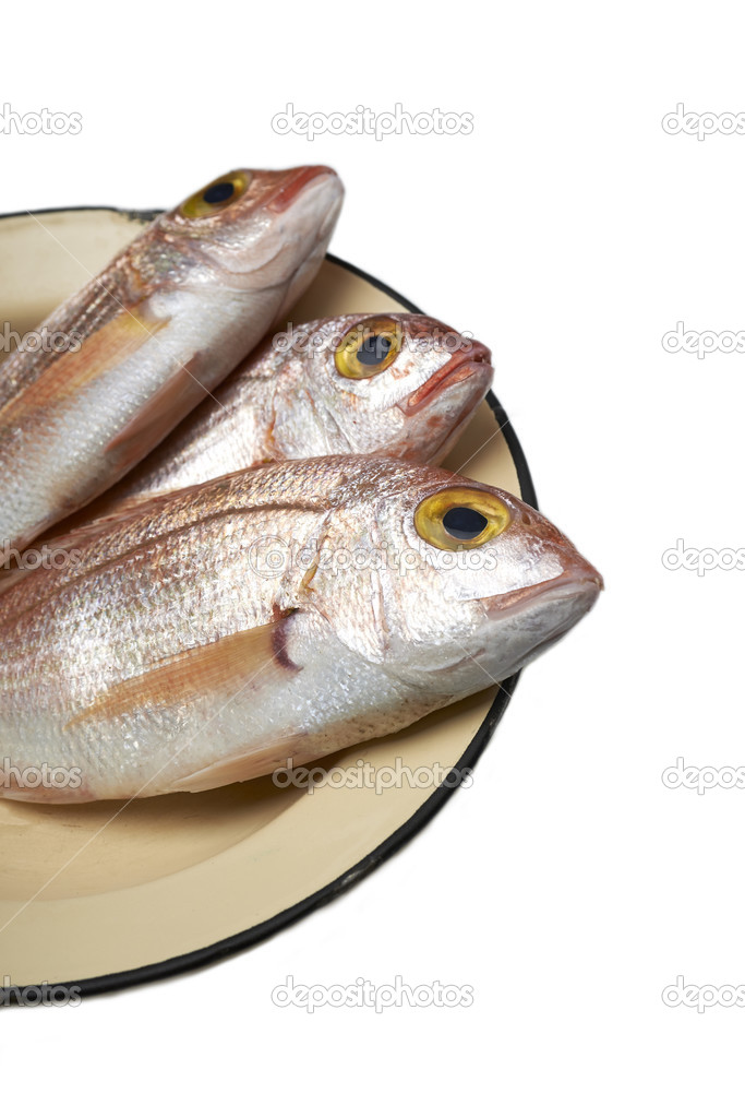 Fresh fish, red snapper — Stock Photo © vkarafill #39177915