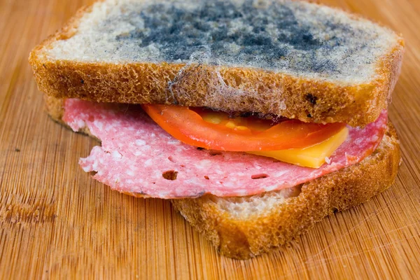 Moldy sandwich with salami, tomatoes on a chopping board — Stock Photo ...