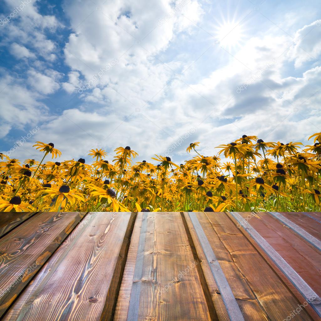 Beautiful garden background with empty wooden deck table. Ready for ...