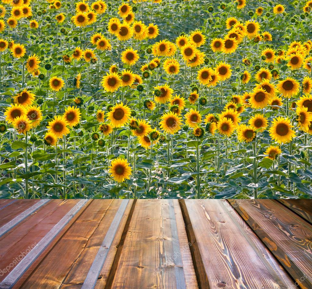 Beautiful garden background with empty wooden deck table. Ready for ...