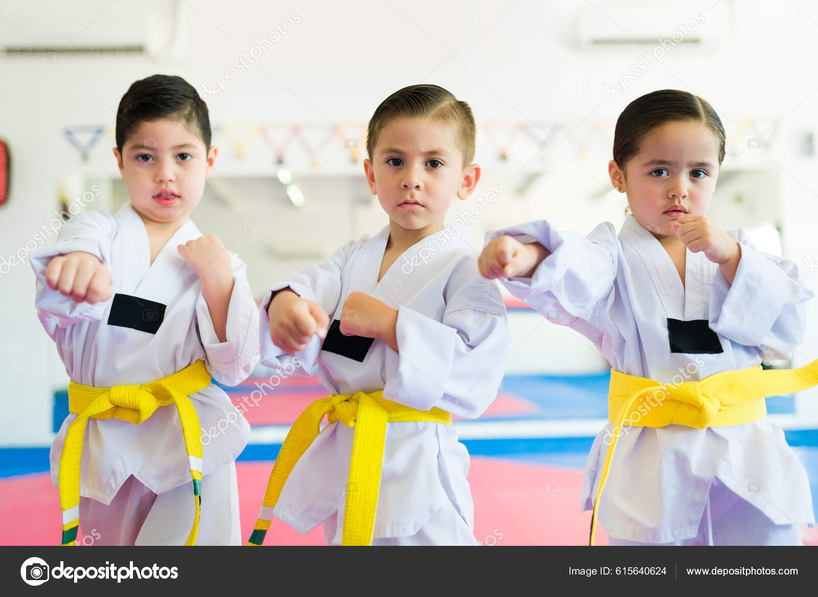 Portrait Beautiful Young Kids Fighting Doing Karate Poses Taekwondo ...