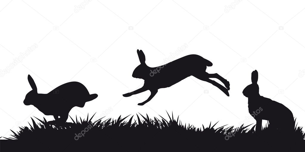 Hare Silhouette