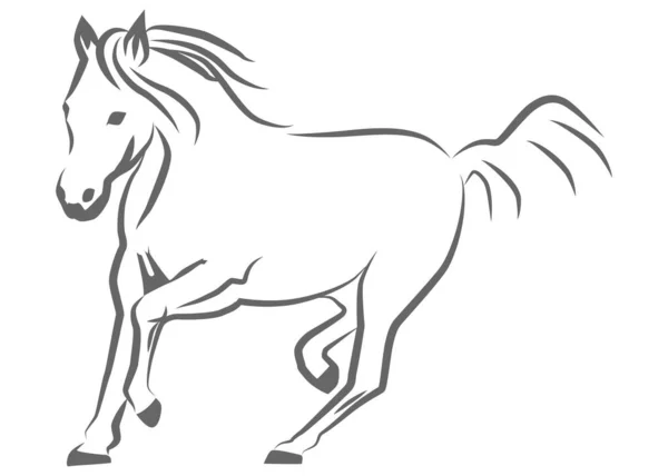 Häst vit bakgrund Stockvektorer, royaltyfria Häst vit bakgrund ...