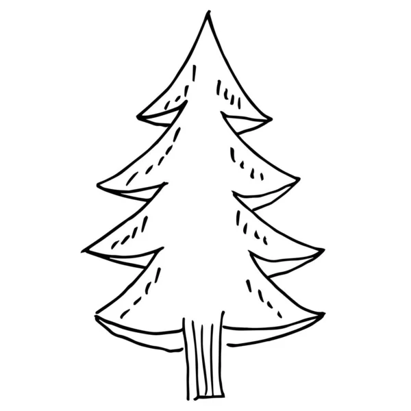 Fenyőfa rajz Stock vektorok, Fenyőfa rajz Jogdíjmentes illusztrációk ...