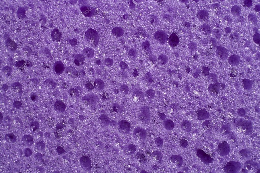 Sponge texture — Stock Photo © Demachy #13261585