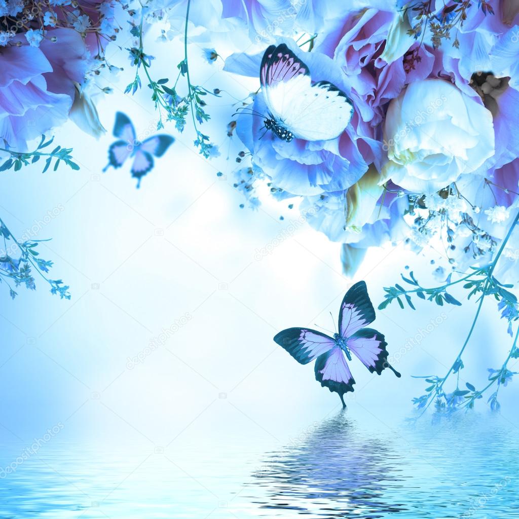 Imágenes: rosas azules con mariposas | ramo de rosas azules y mariposa ...