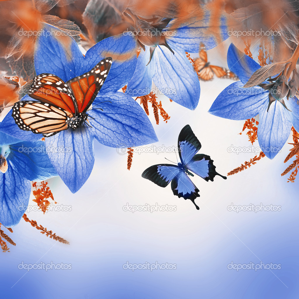 Bells and butterflies — Stock Photo © seqoya #51383425