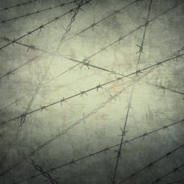 Prison wire fence Stock Photos, Royalty Free Prison wire fence Images ...