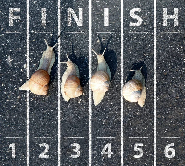 87,279 Snail Stock Photos, Images | Download Snail Pictures on ...