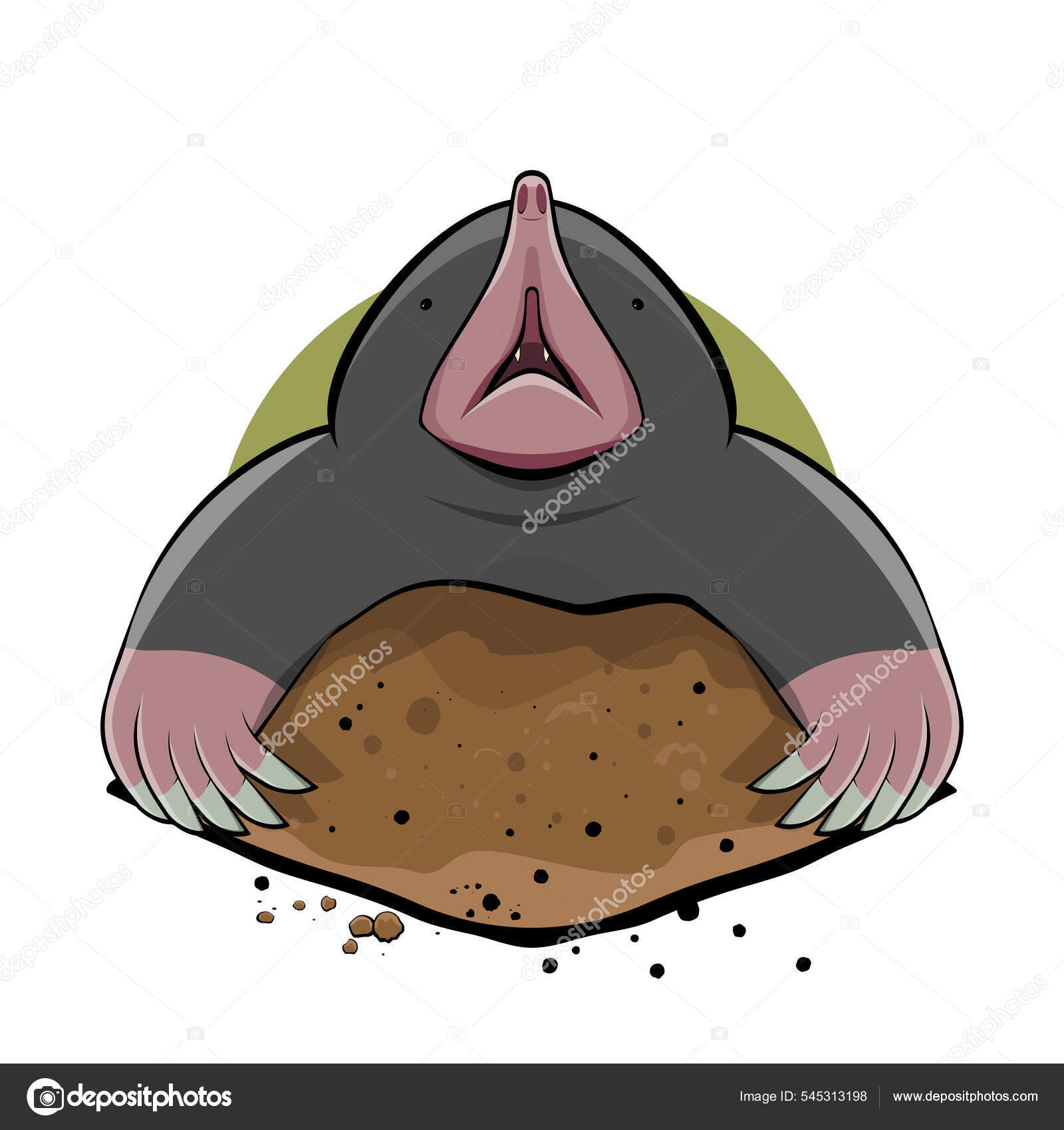 How To Draw A Cartoon Mole