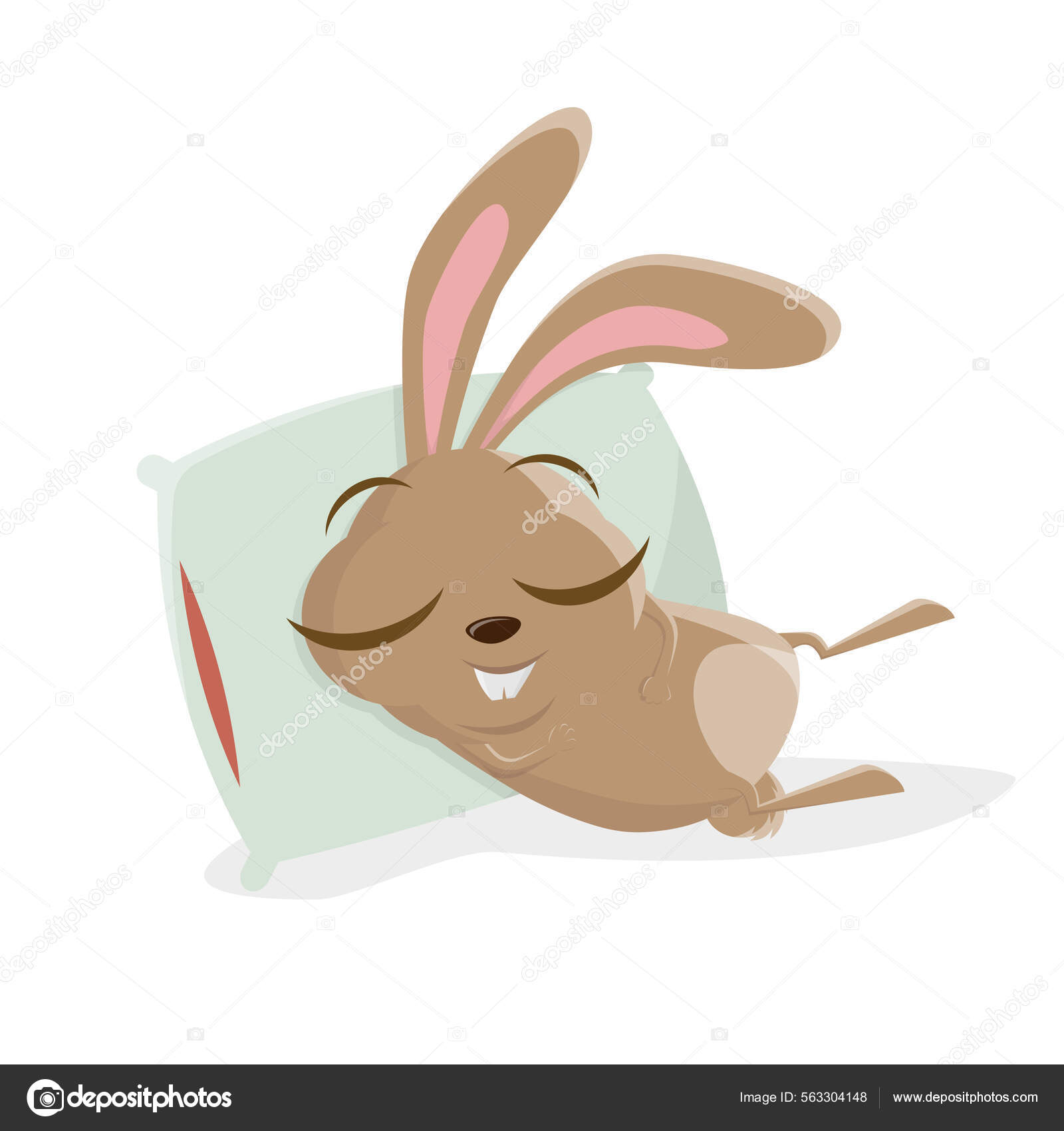 Cartoon Rabbit Sleeping