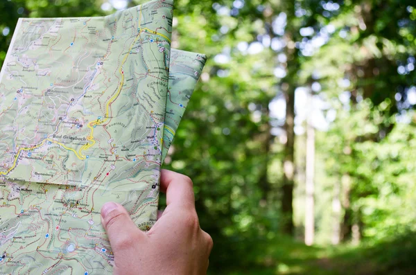 Reading a map - Stock Image - Everypixel