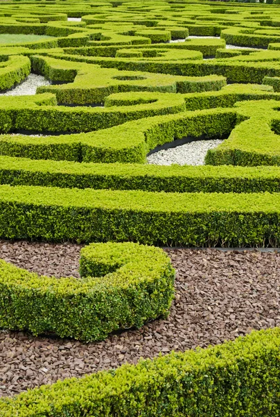 Maze garden Stock Photos, Royalty Free Maze garden Images | Depositphotos®