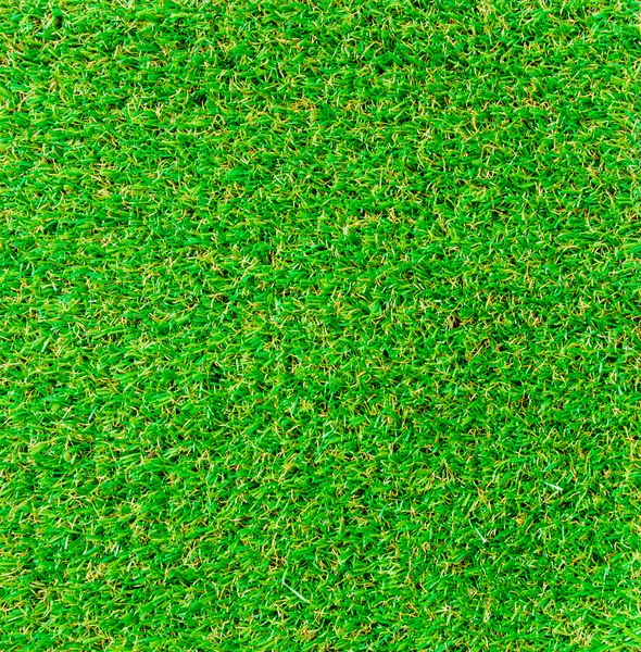 Turf grass background — Stock Photo © piyato #10340645
