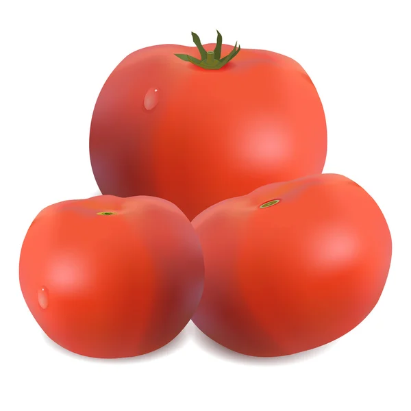 100,000 Pomeloes Vector Images | Depositphotos