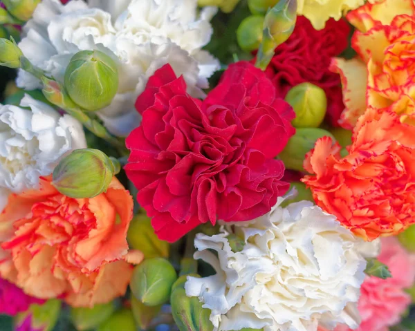 Bright bouquet of carnations Stock Photos, Royalty Free Bright bouquet ...