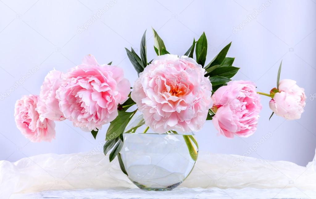 Beautiful pink peonies — Stock Photo © torishaa #49978381