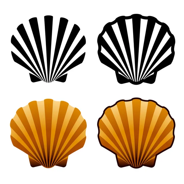 ᐈ Cartoon conch shell stock illustrations, Royalty Free shells vectors ...