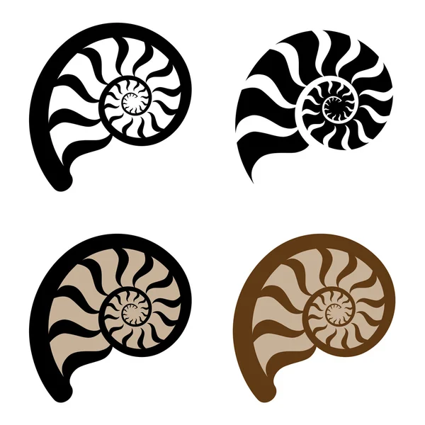 17 Caracolas Vector Images, Royalty-free Caracolas Vectors | Depositphotos®