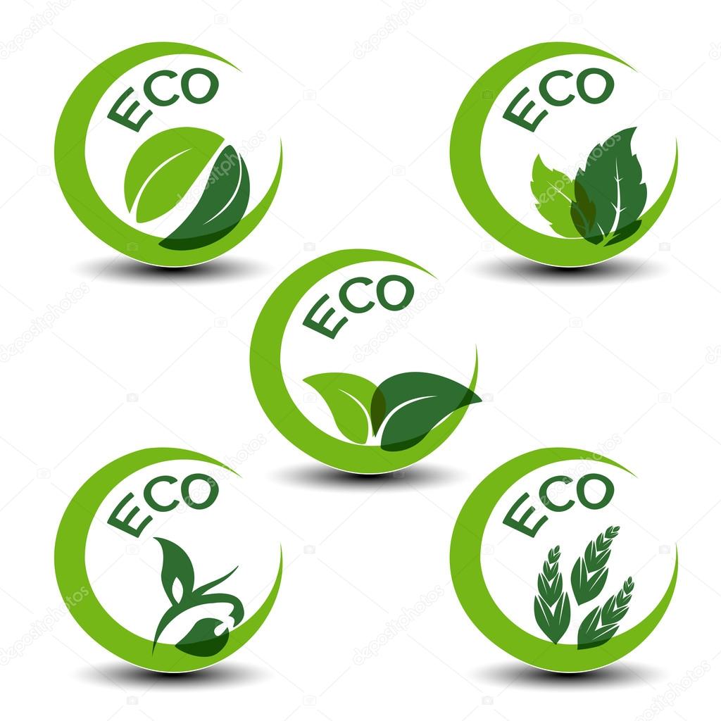 Nature symbols with leaf - eco icons Stock Vector Image by ©Rena_Design ...