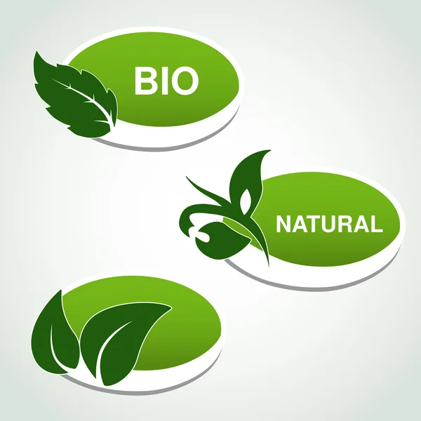 Vector natural symbols with leaf — Stock Vector © Rena_Design #11626773