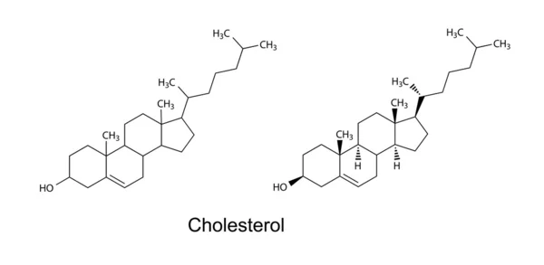 Lipid Structure Coloring Pages
