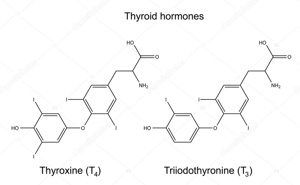 Structural Chemical Formulas Of Thyroid Hormones — Stock Vector