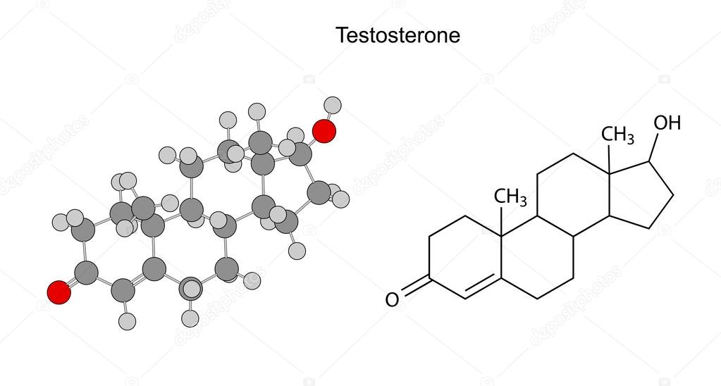 Structural Chemical Formulas Of Testosterone Molecule Stock Vector