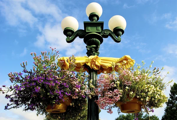 Disney orlando Stock Photos, Royalty Free Disney orlando Images ...