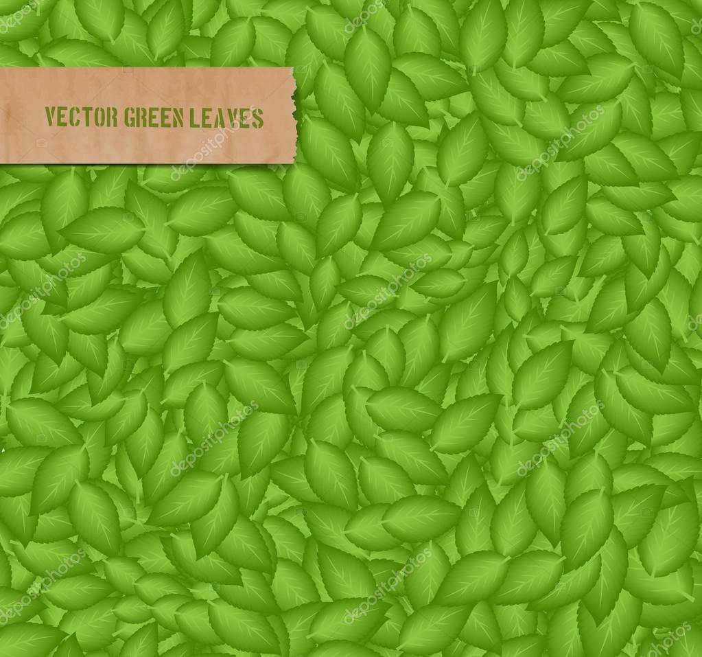 Vector green leaves background Stock Vector Image by ©foxiedelmar #36022685