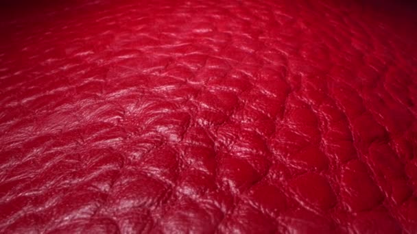 3,407 Leather texture Videos, Royalty-free Stock Leather texture ...