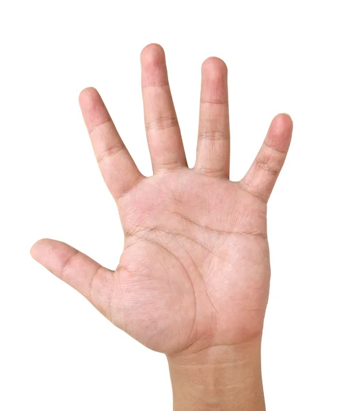 Hand lift — Stock Photo © fotographic1980 #13915978